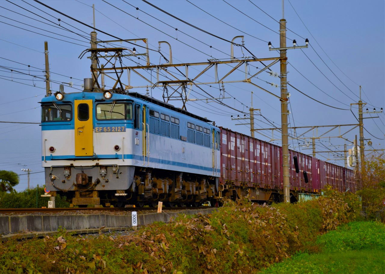 カラシ初冬の陽 EF65-2127 74ﾚ 墨田川発-東京ターミナル 東浦和-東川口